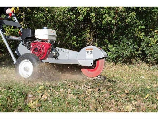 Dessoucher un arbre : techniques et tarif d'intervention