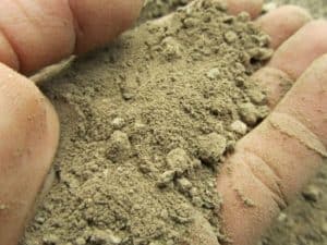 Analyse du sol : testez la terre de votre jardin