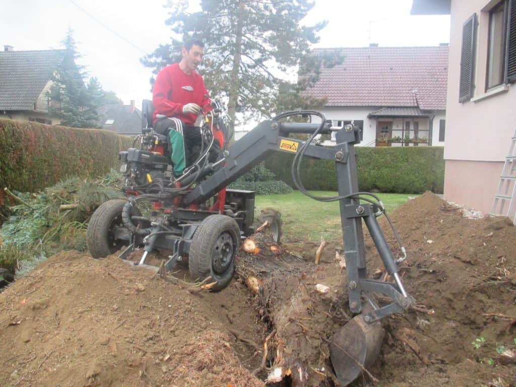 Racine envahissante : comment s’en débarrasser