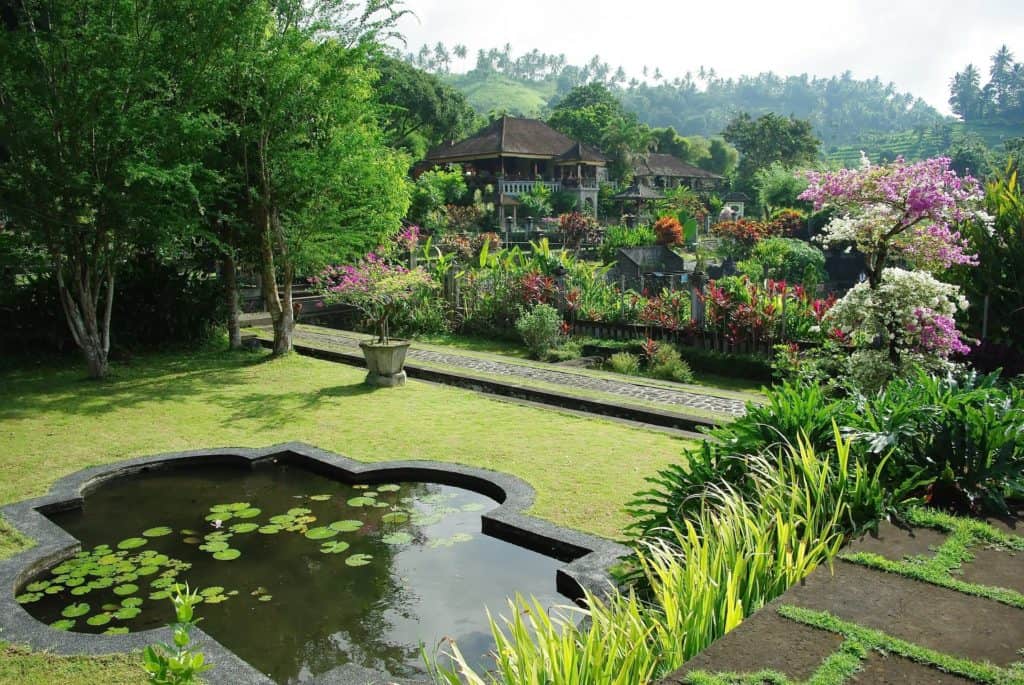Construire et aménager un bassin de jardin : guide complet