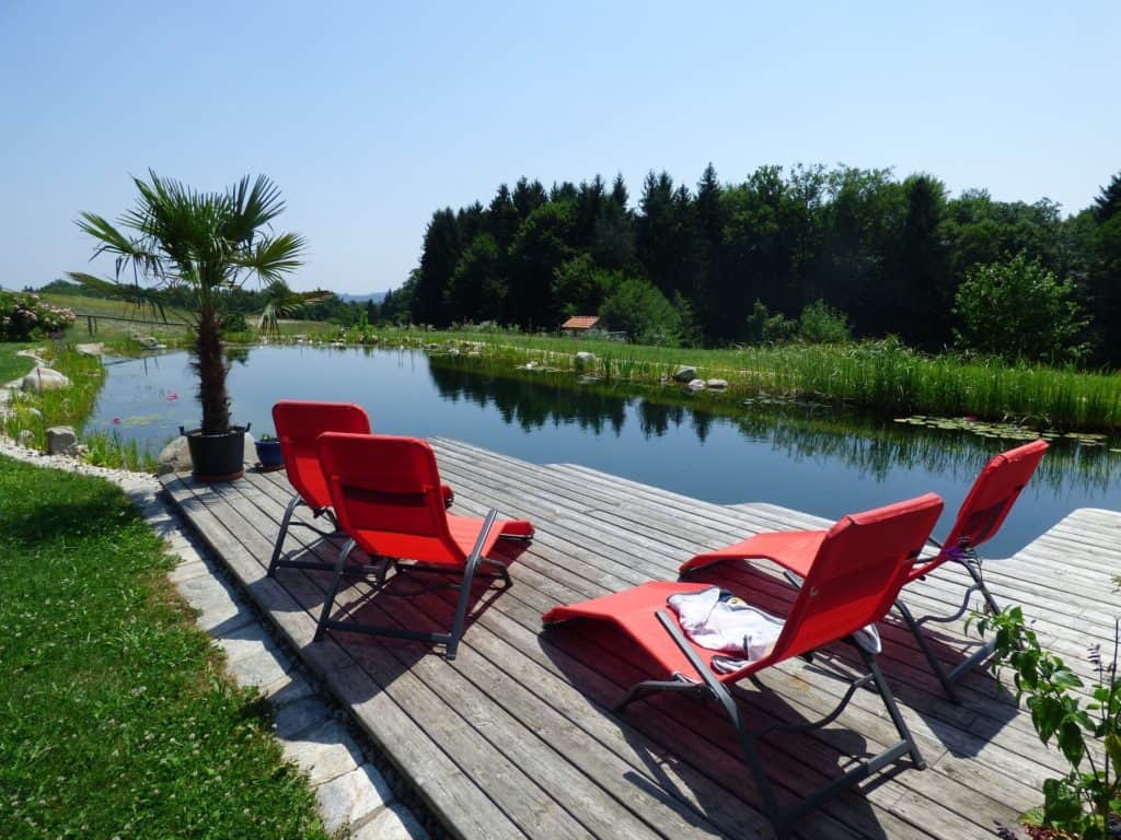 Construire et aménager un bassin de jardin : guide complet