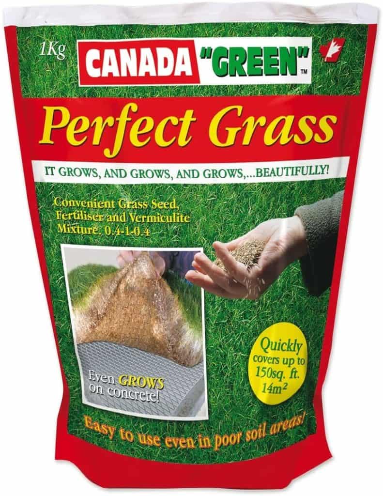 Gazon canadien : utilisation, entretien, prix et avis